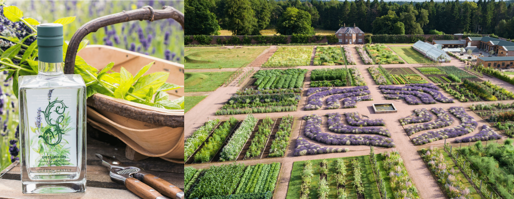 Premium Hotel Gin - Gordon Castle - Hotel Design